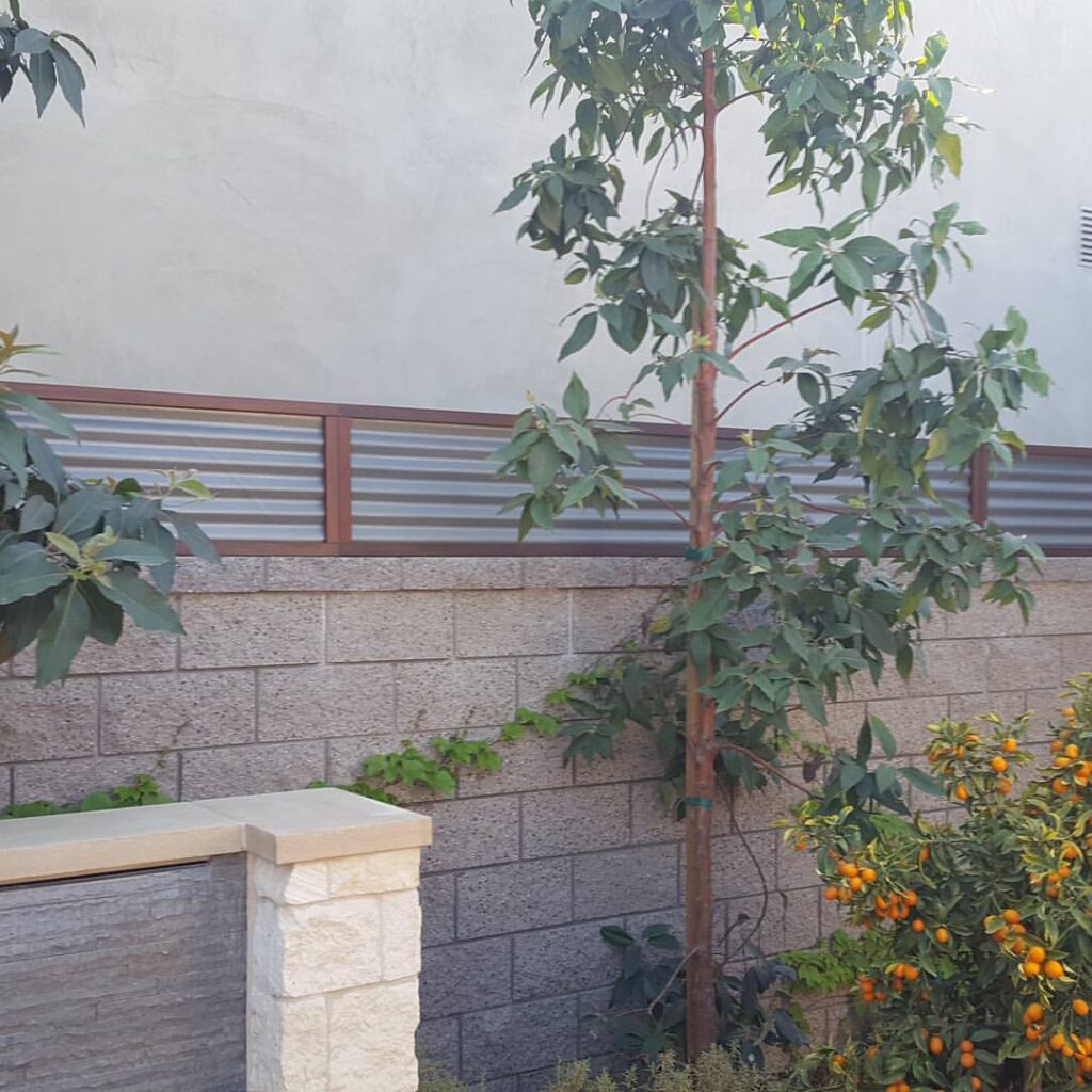 15 Innovative Fence Toppers to Enhance Privacy, Height & Style