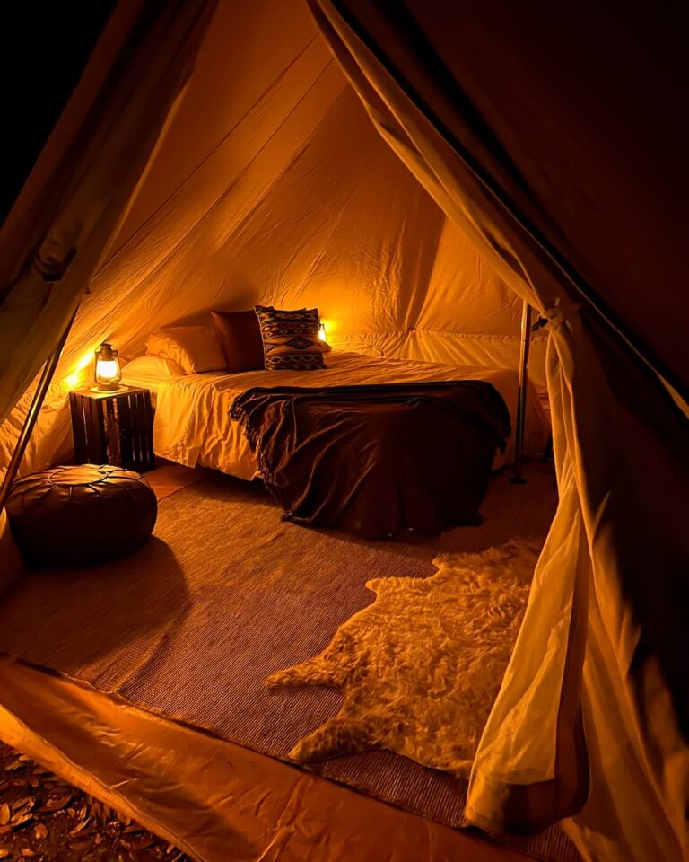 Ultimate Camping Setup Ideas for a Perfect Outdoor Experience